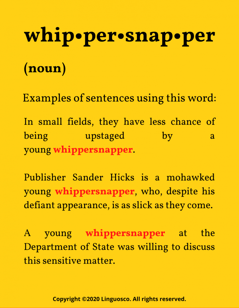 Word of the Week: Part 3 : Whippersnapper!
